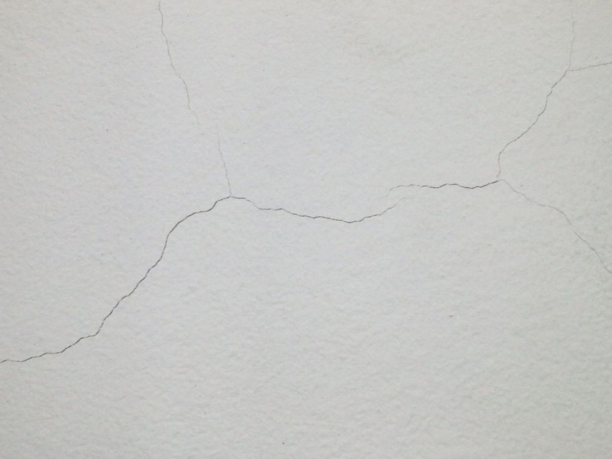 Les différentes fissures - Franck lopez